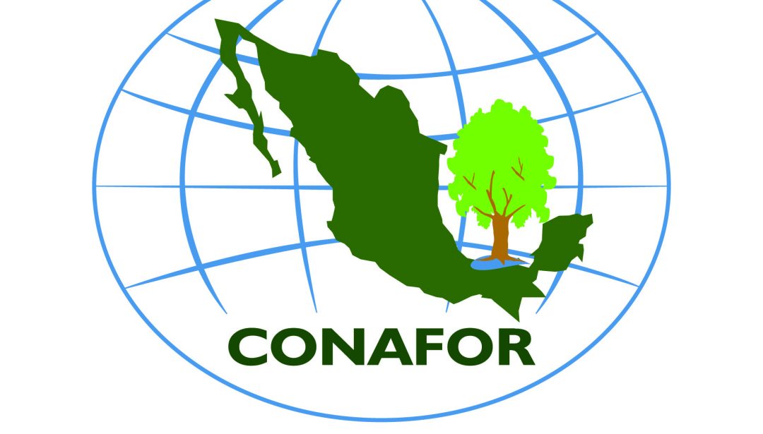Poseedores de recursos forestales CONAFOR tiene apoyos